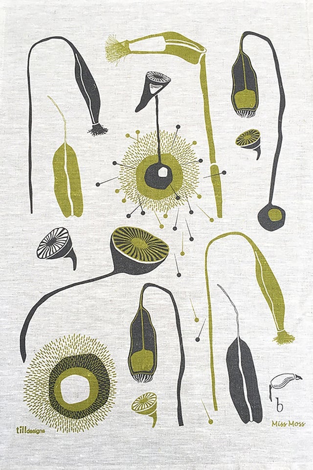 Till Designs | Design Tasmania